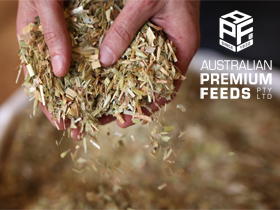 Australian Premium Feeds | In Shot Productions